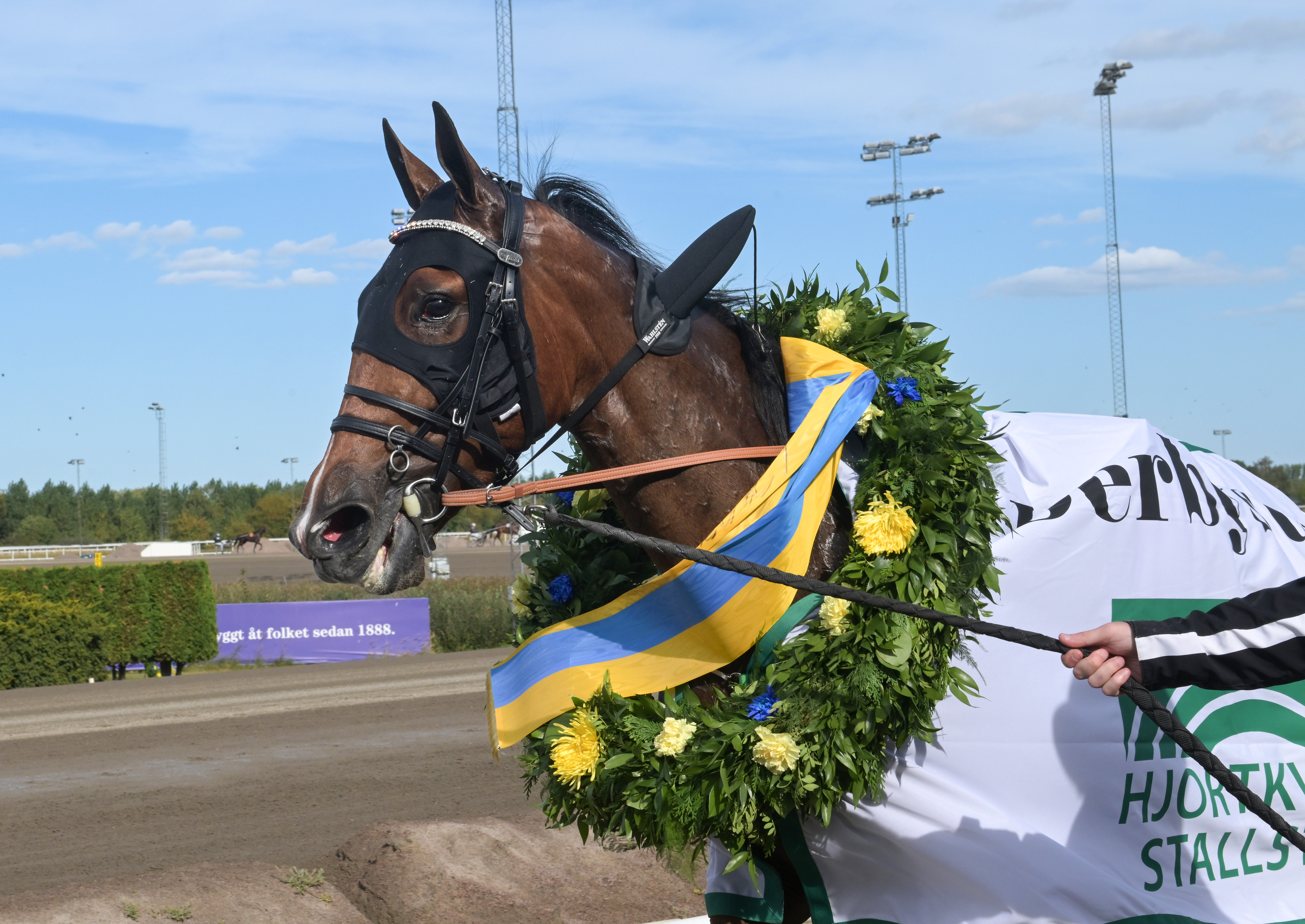 Ny framgång för segermaskinen Daim Brodda | ATG