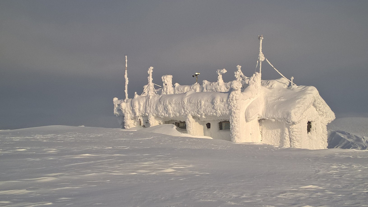 Seuraatko pakkasvaroituksia, vaikuttavatko varoitukset toimintaasi ...