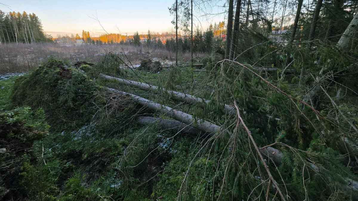 Hannes-myrsky oli vaikutuksiltaan yksi viime vuosikymmenten pahimmista ...