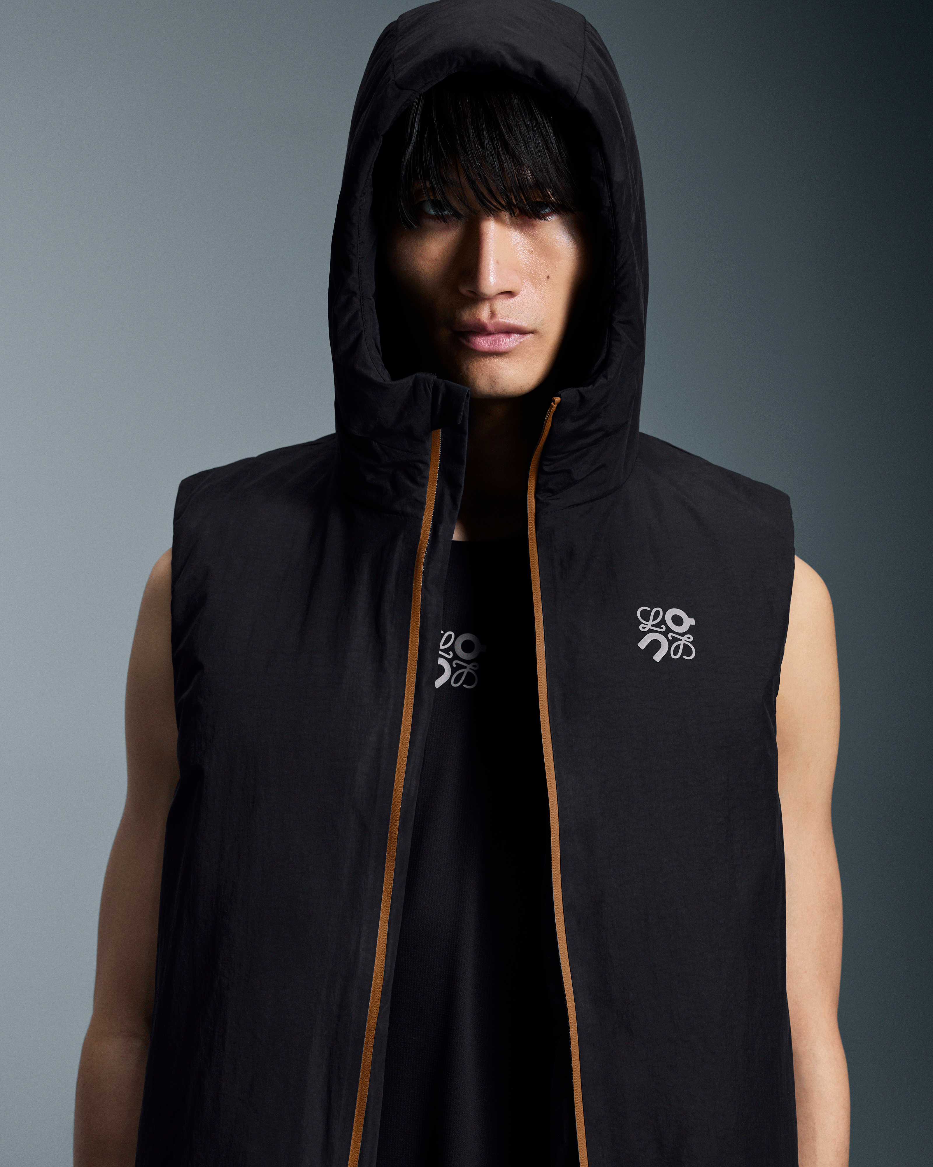 Men's Puffer Vest LOEWE | Black | On United States