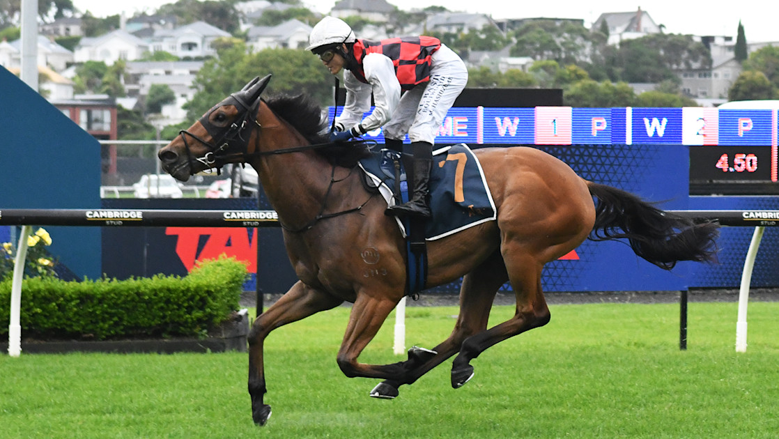 Rise Companions dominates Stella Artois Final