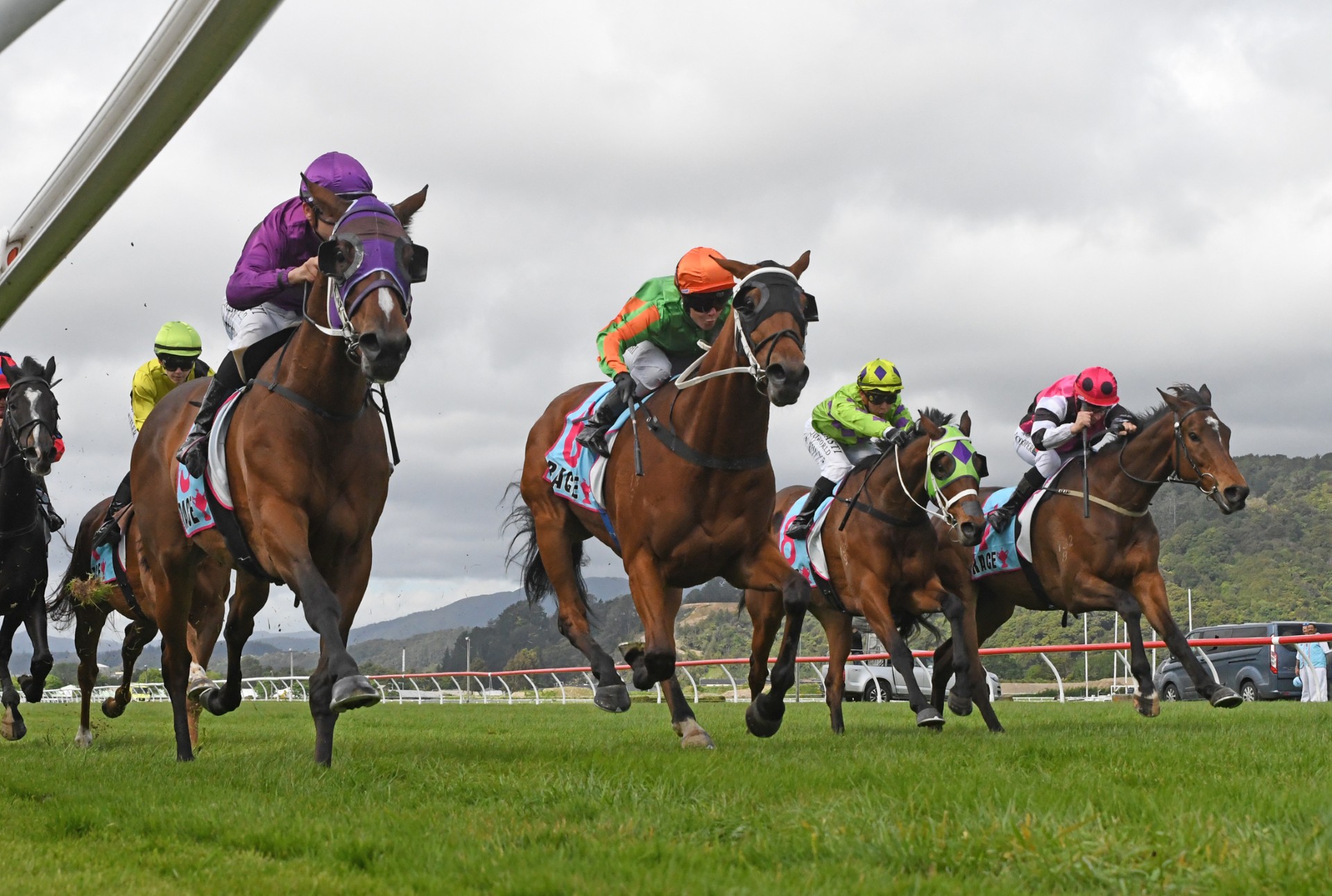 Sacred Pearl completes Cup double