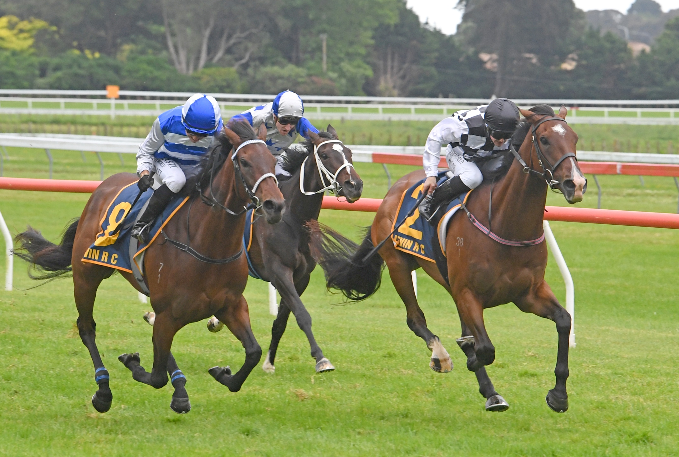 Tuxedo takes centre stage in Wellington Stakes