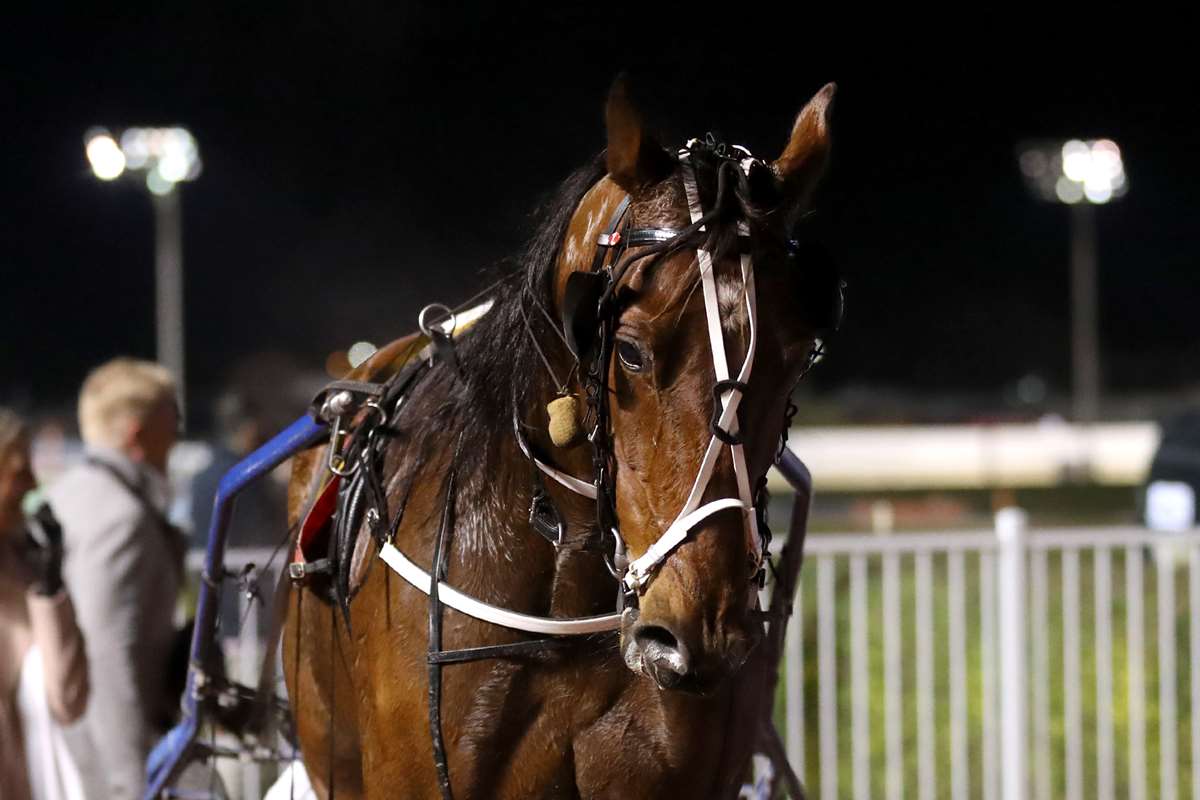 Roxburgh Cup a fitting victory after a tough week