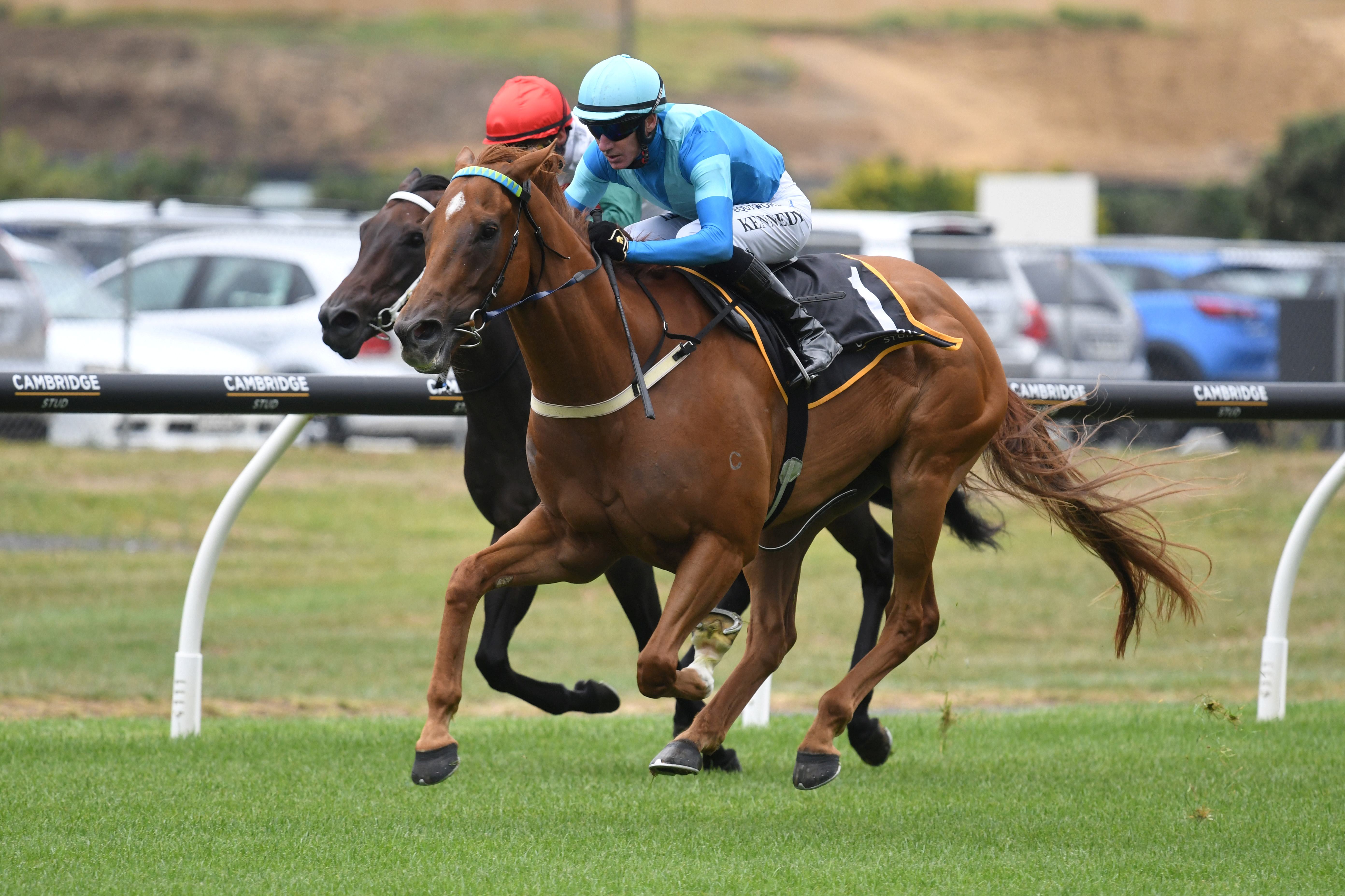 Crocetti touches down in Perth ahead of The Quokka