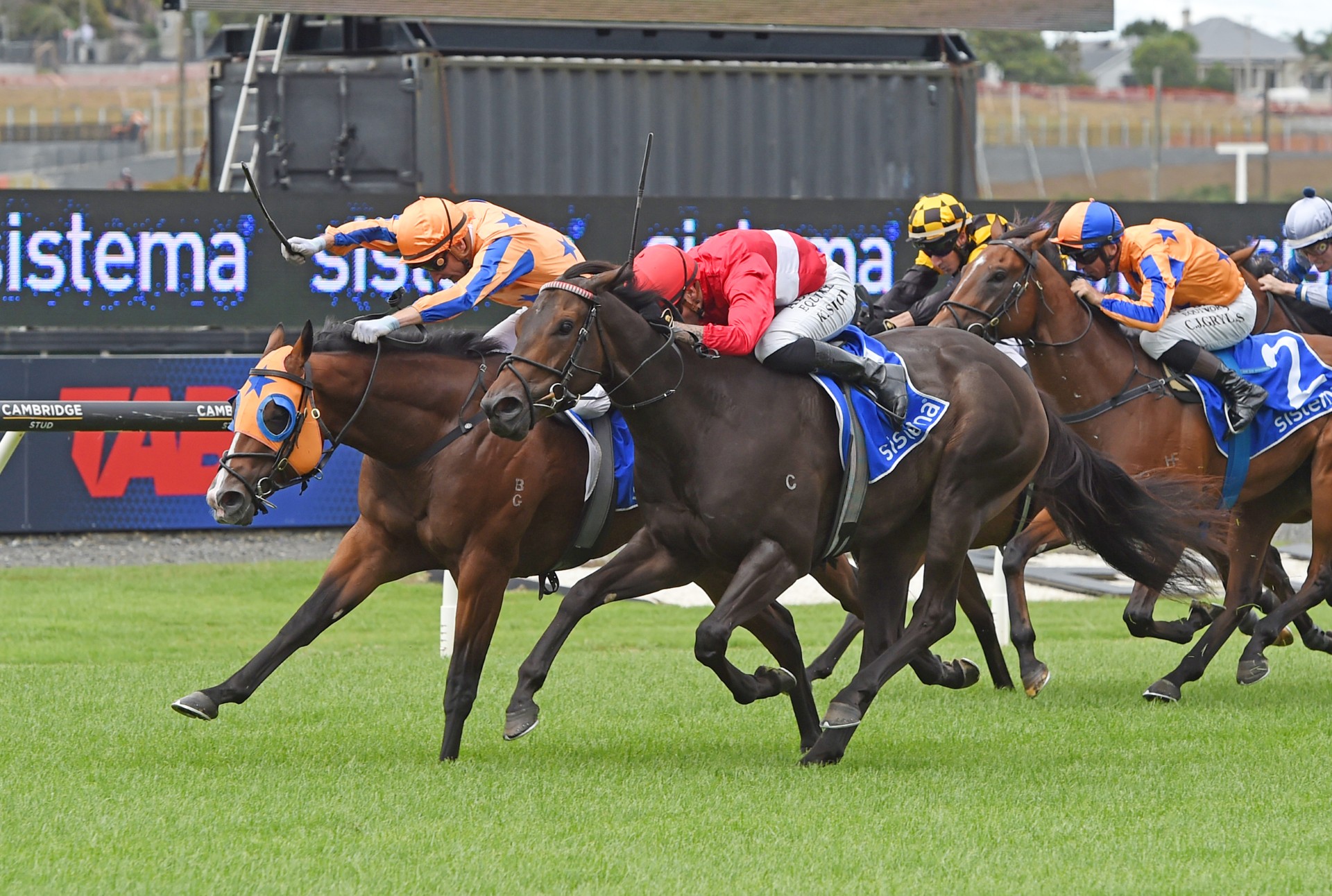 Trentham familiarity an asset for Landlock