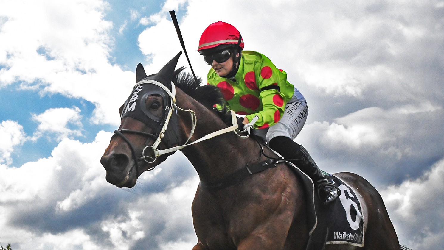 Doddle too strong at Matamata