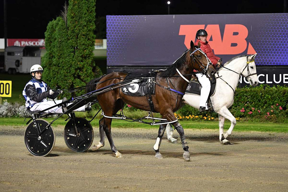 Telfers' tilt at record continues at Auckland & Addington