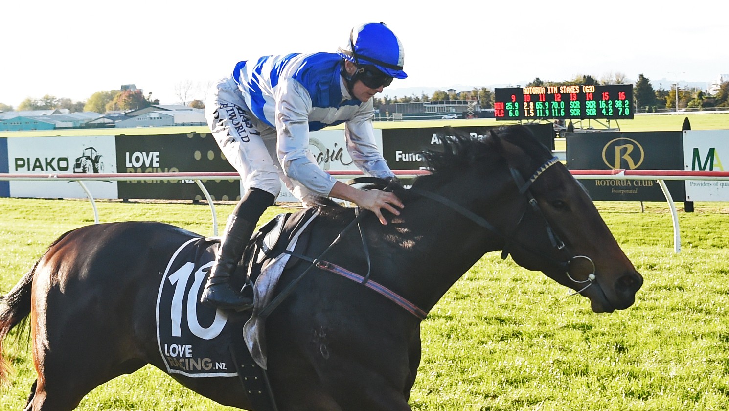 Rising star delivers milestone for Scott