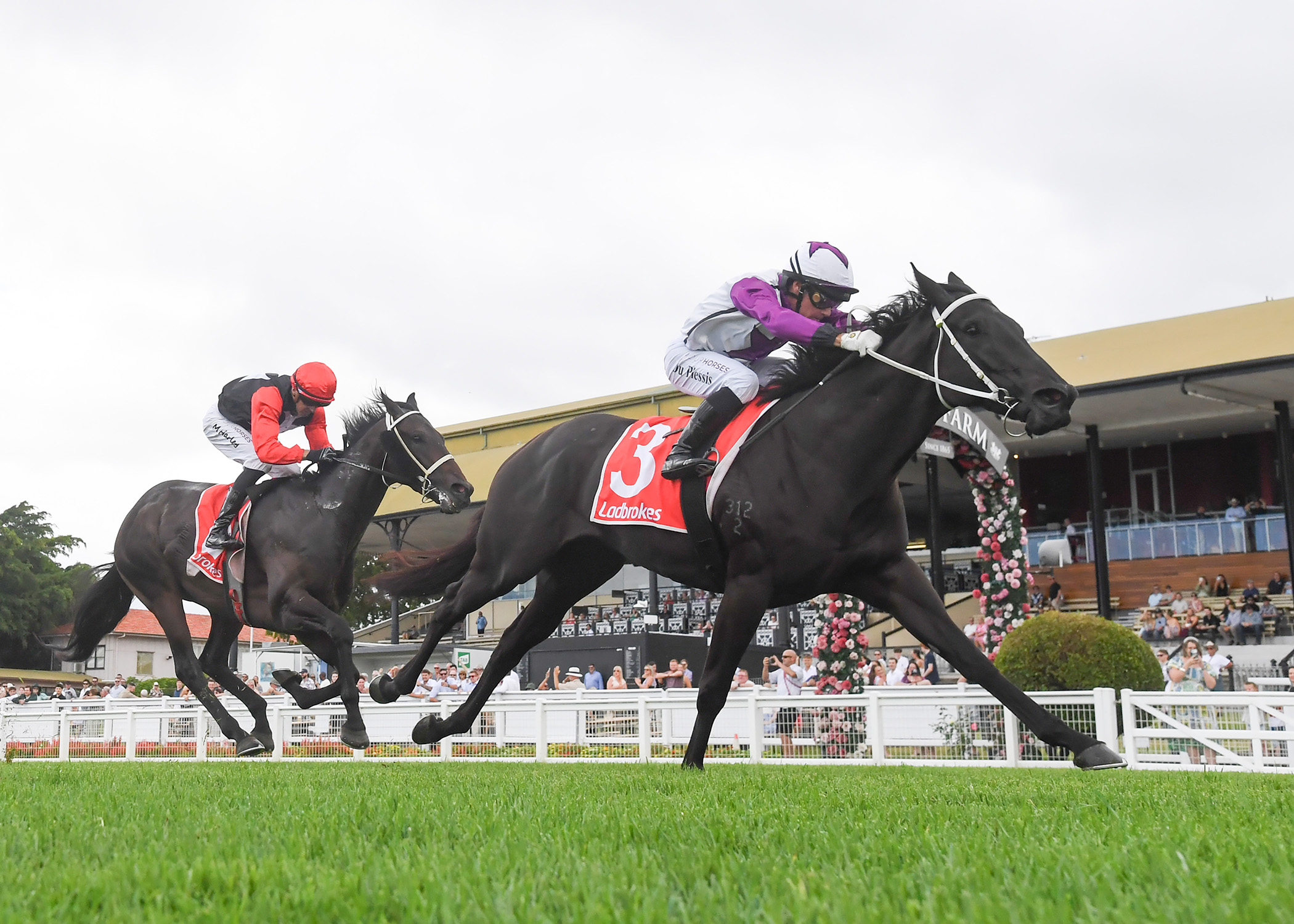 Nightline stamps Oaks credentials