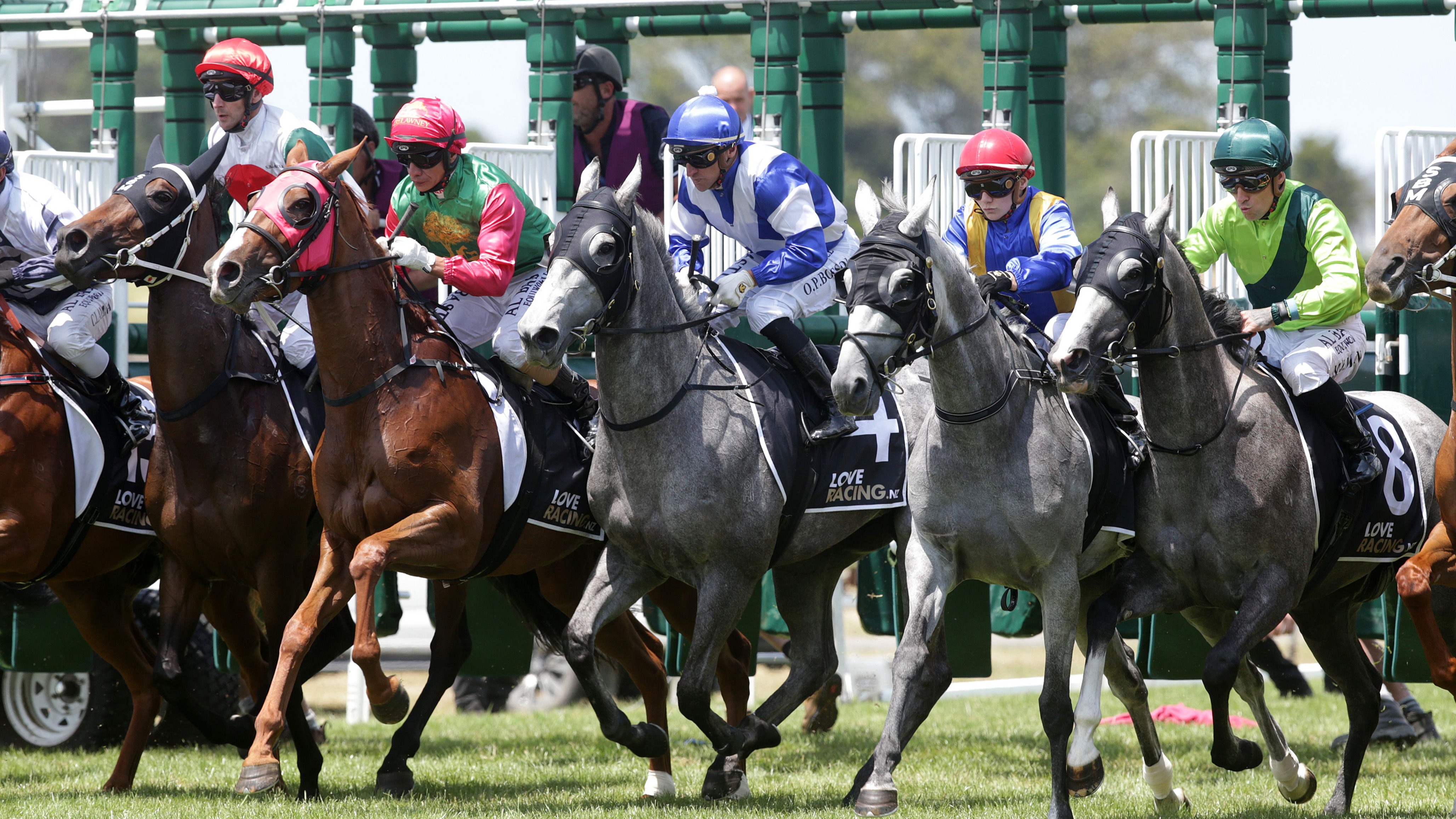NZTR upholds Australian Racing Registration Embargo