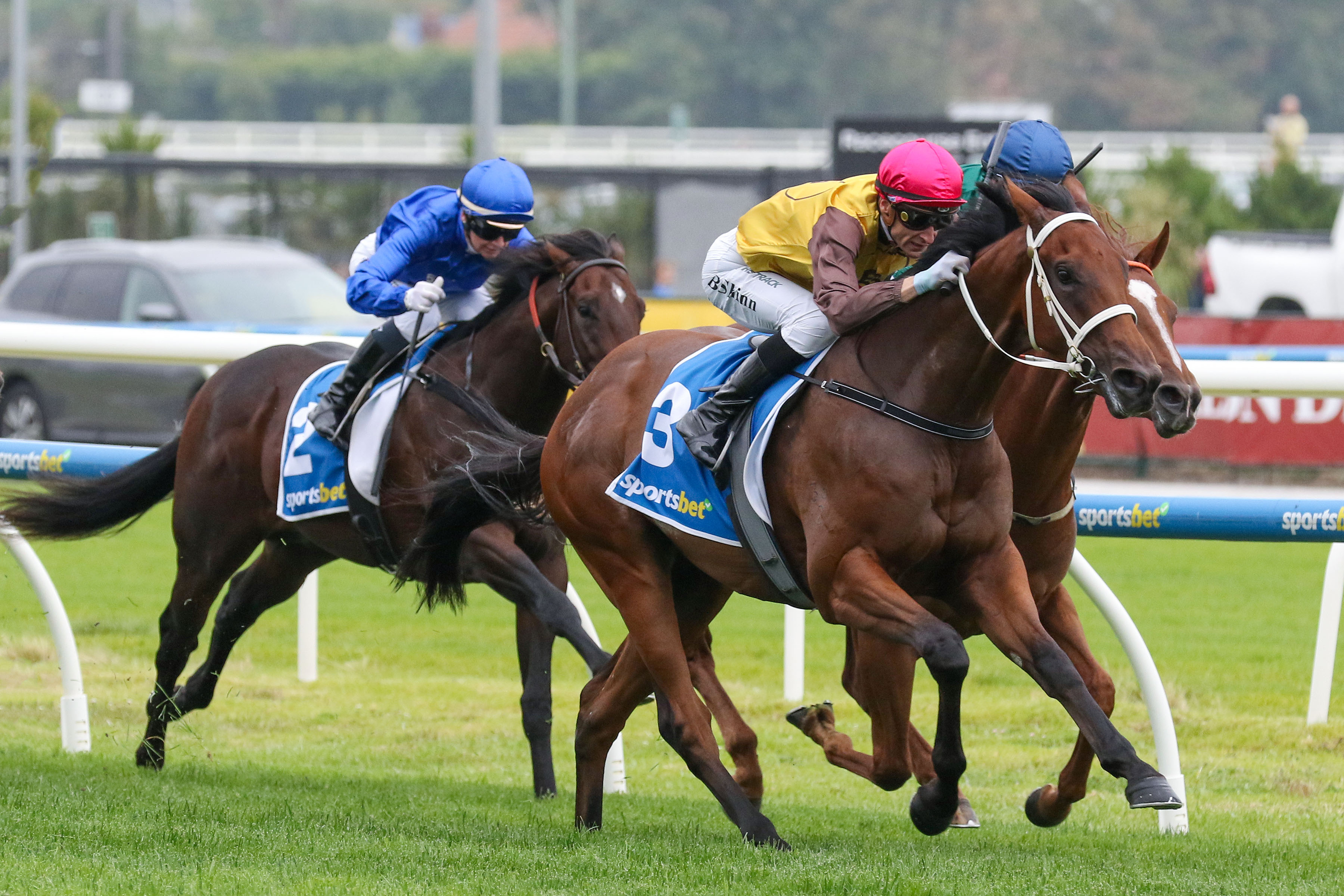 Diamond calling Field Of Play