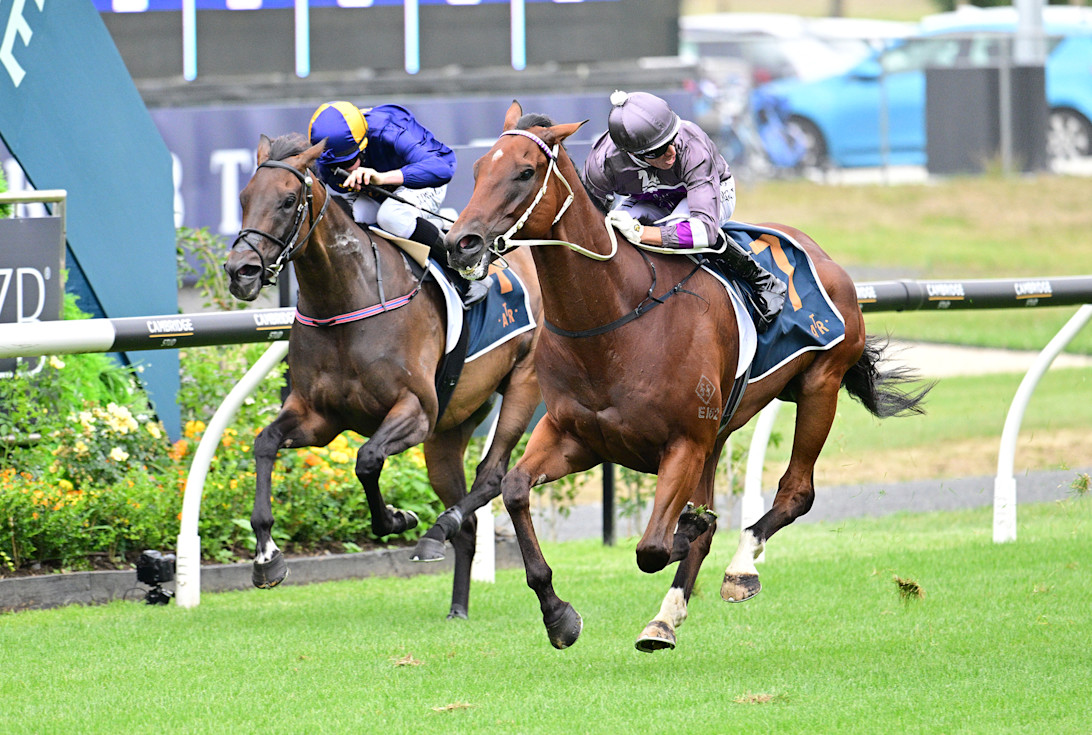 Quality sprinter thriving ahead of upcoming prep