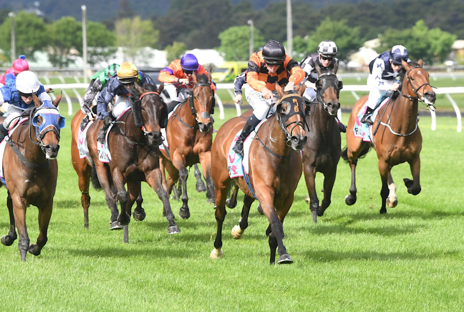 Town Cryer continues Group One preparation at Foxton