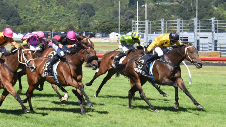 Home stakes target for Wairarapa mare