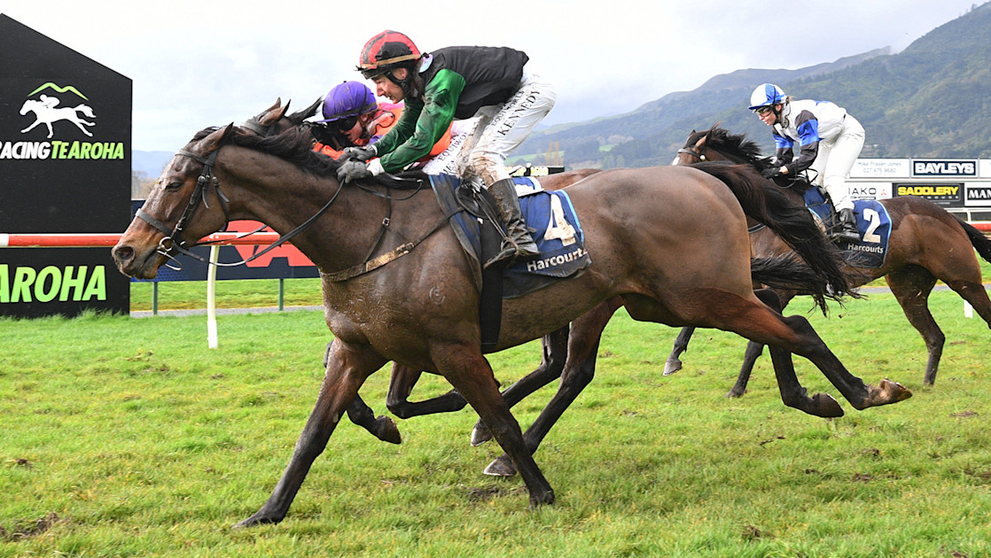 Son Of Sun makes stylish return