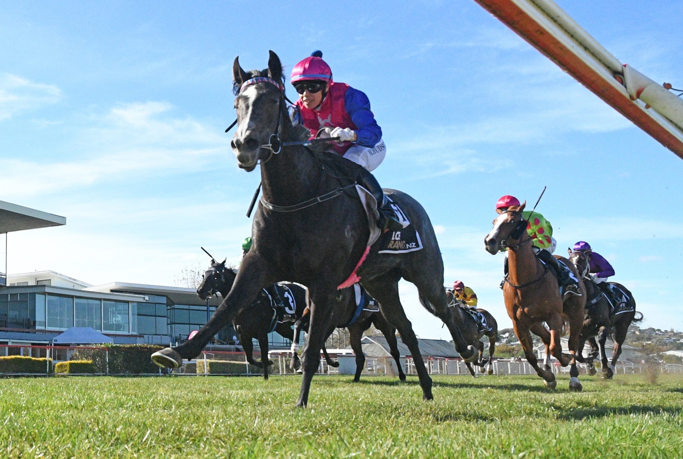 Foxton filly flies on debut