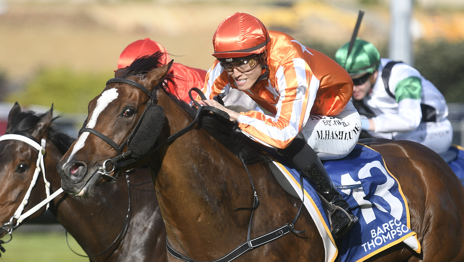 Progressive mare on song at Ellerslie