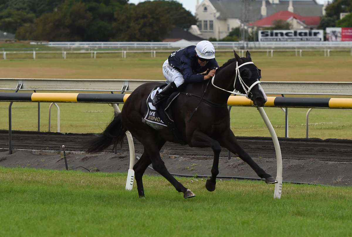 Brazen mare back on track at New Plymouth