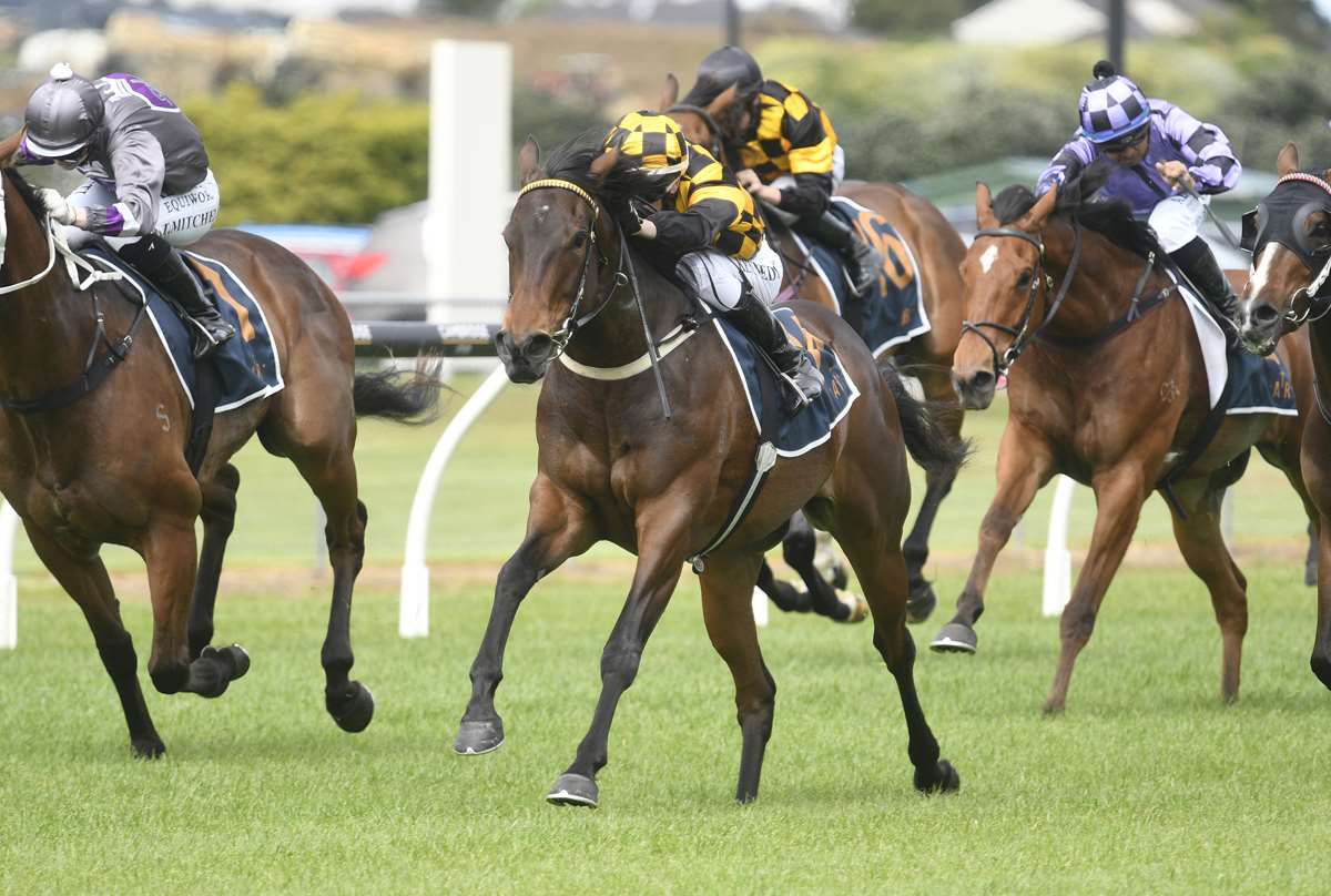 Cambridge Stud Filly Heading to the Big Dance