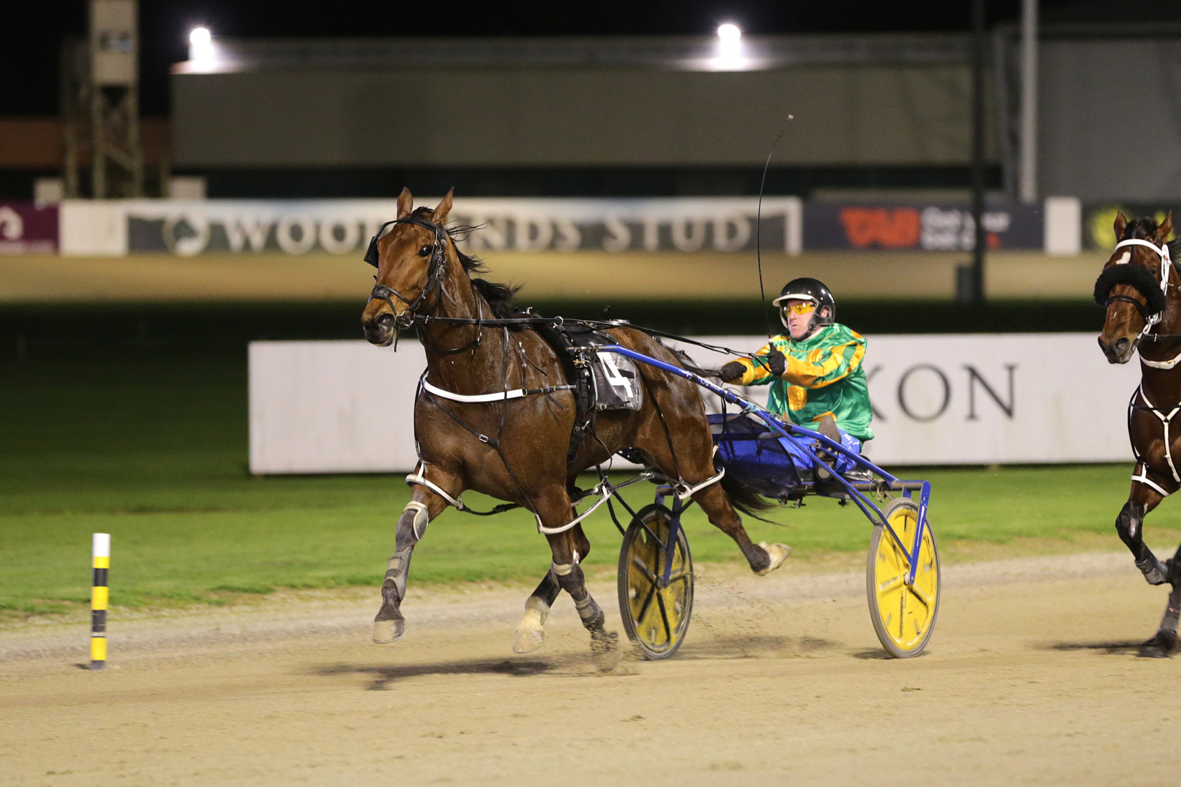 Captain Sampson wins opening Sires' Stakes heat