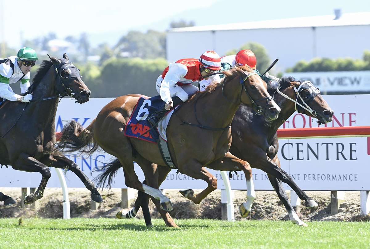 Reviewing Te Rapa: Stephen Hunt has run the numbers