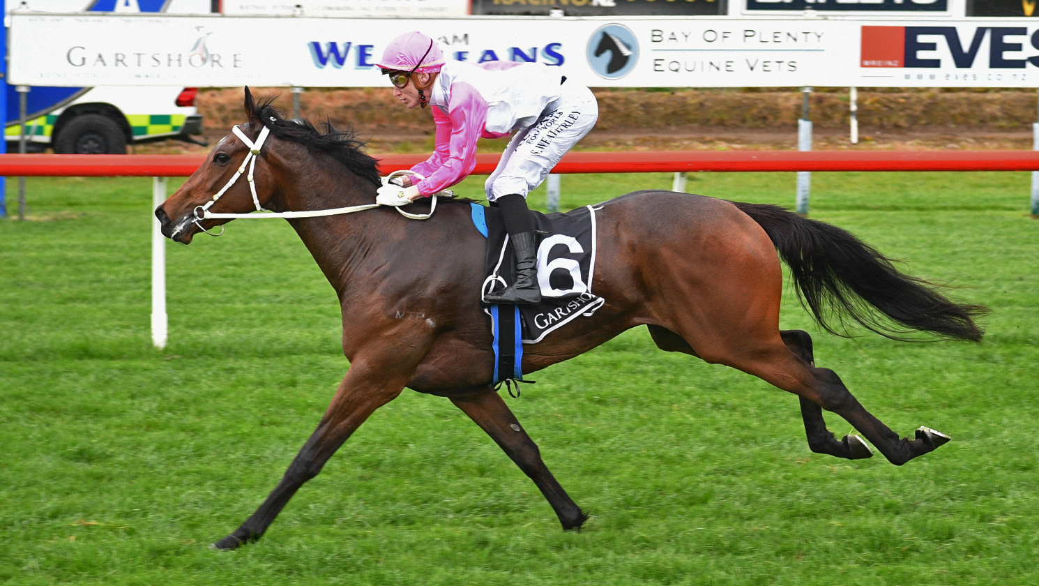 Three cheers for impressive Tauranga winner