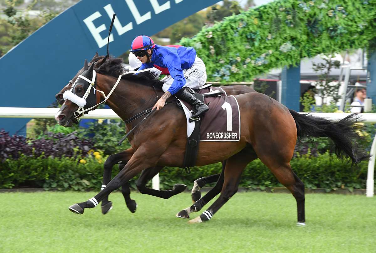 Stephen Hunt runs the numbers from Champions Day