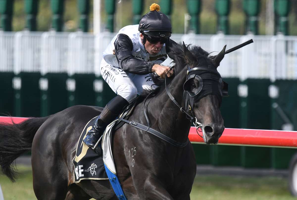 Forsman delighted with returning stayer