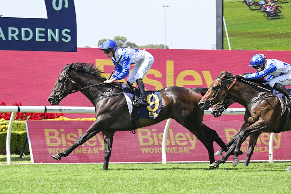 Matamata farm in thick of Group One action