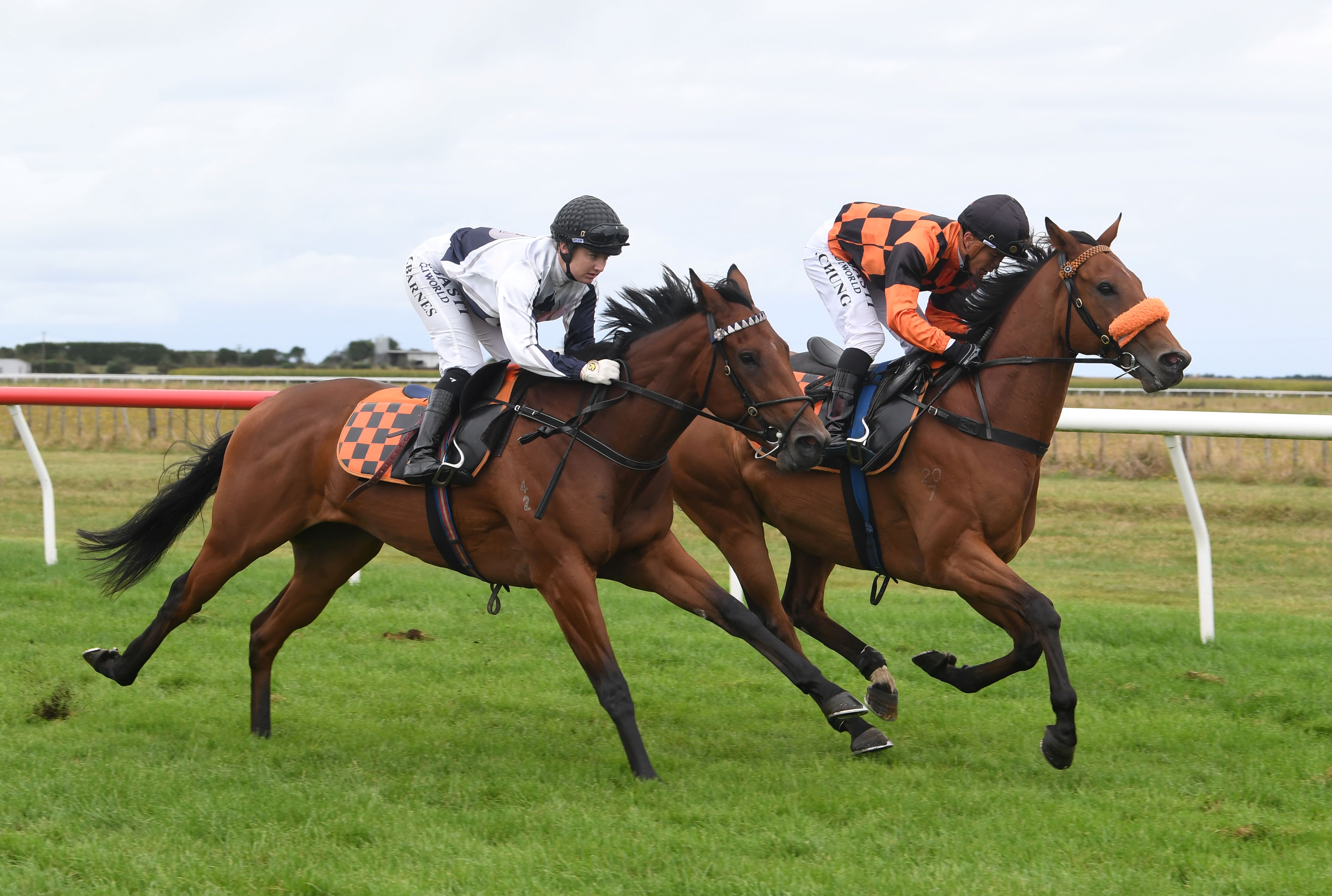 Heavy track to bring best out of Bradman