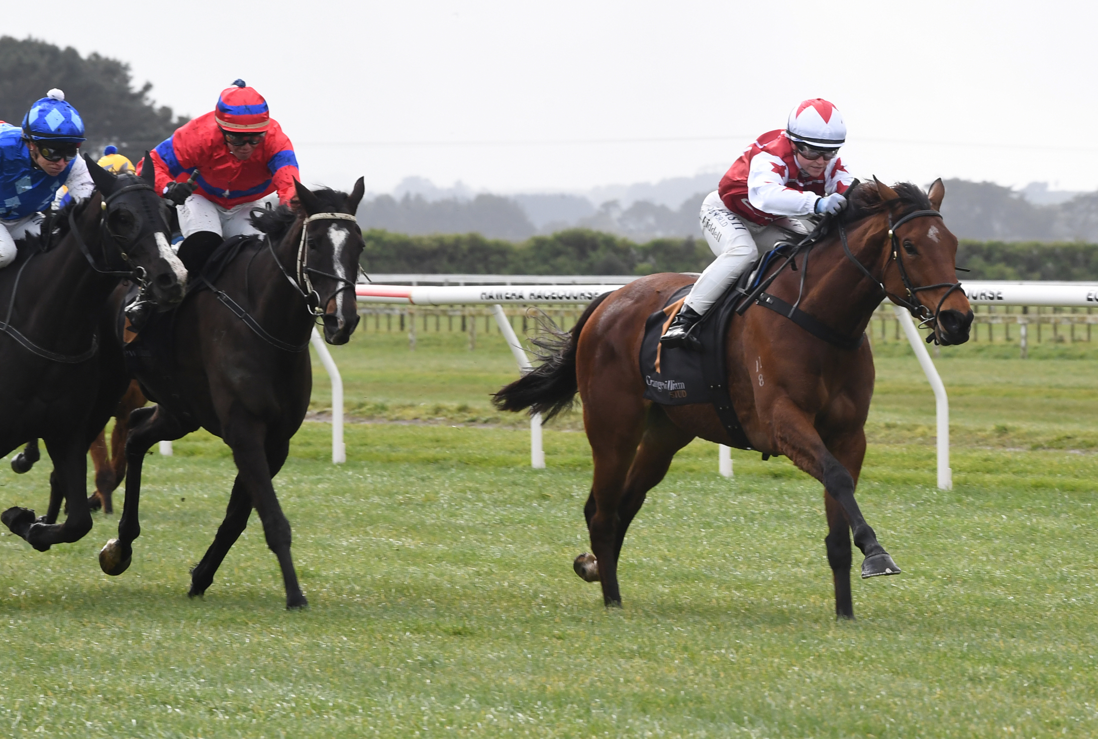 Pride Of Aspen completes hat-trick at Hawera