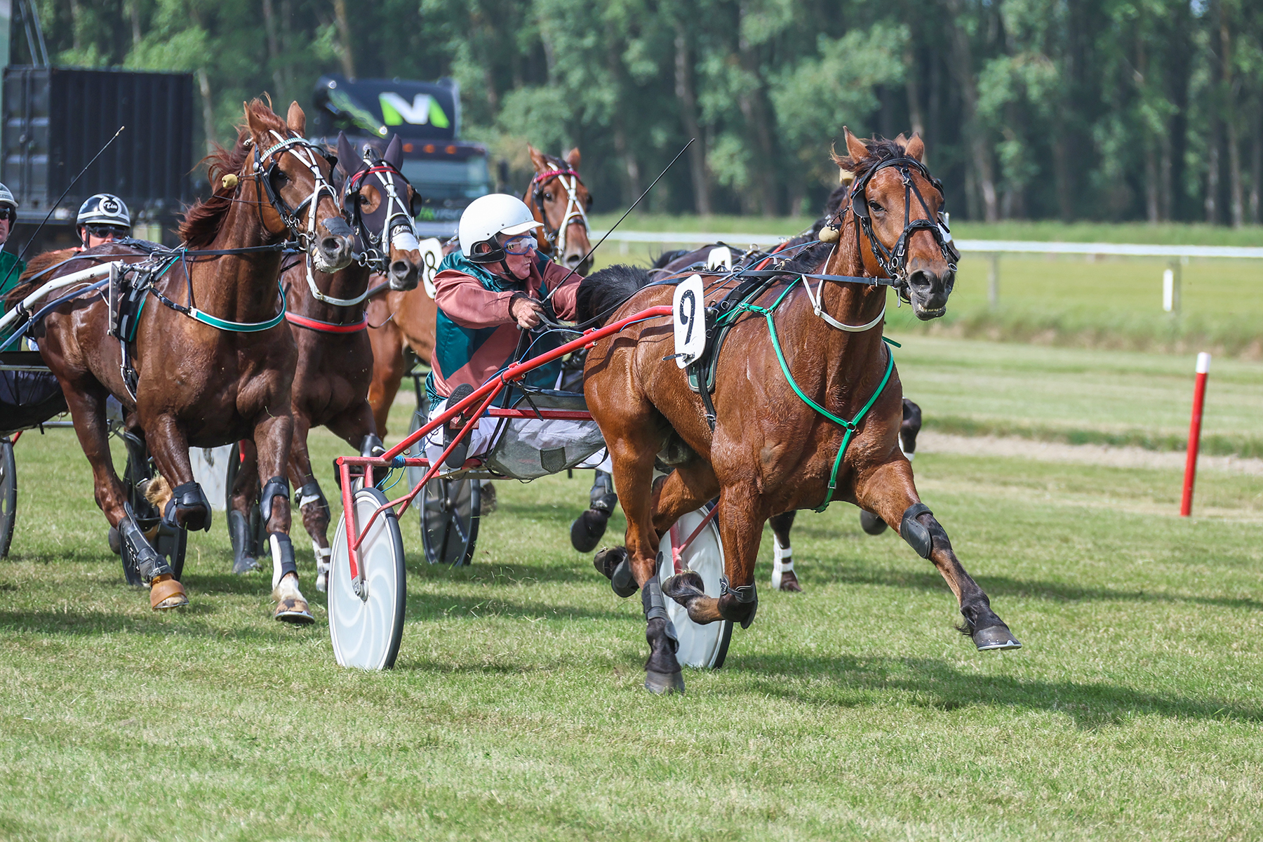 Maui chases Motukarara upset