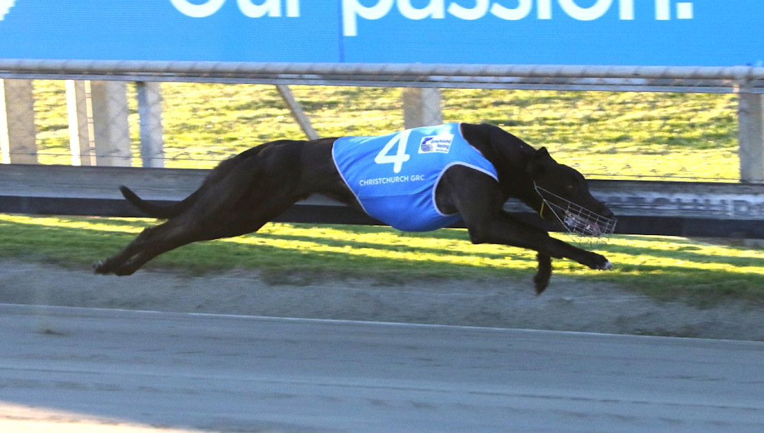 Hot Group race qualifying action at Addington