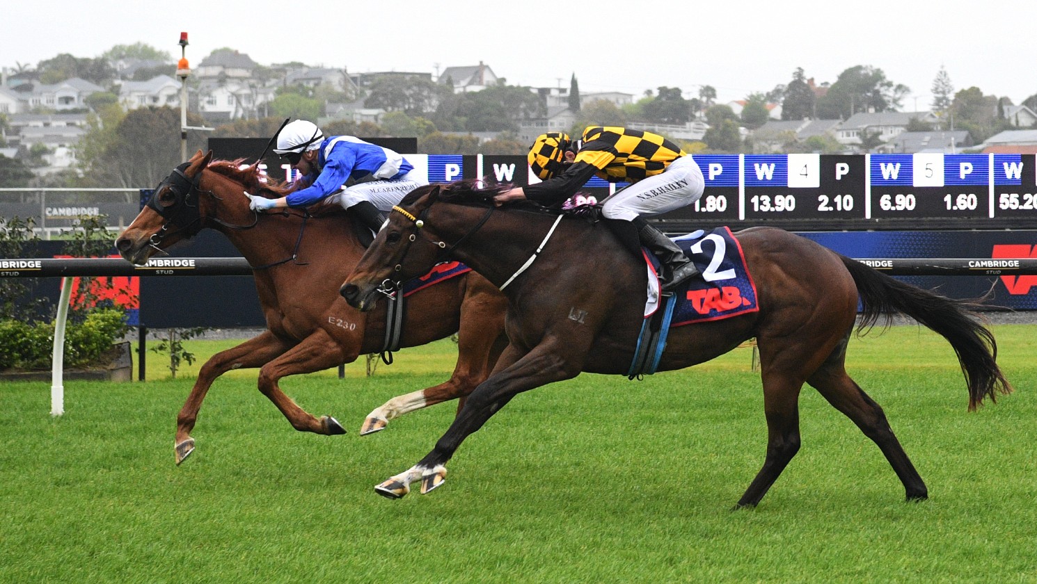 Meaningful Star collects first New Zealand victory