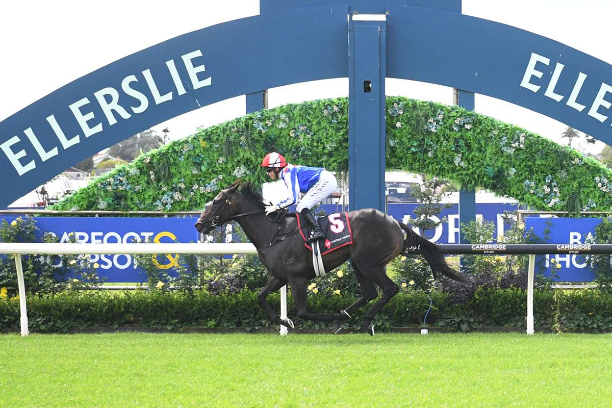 On The Right Track - Running The Numbers on Gr.1 Railway