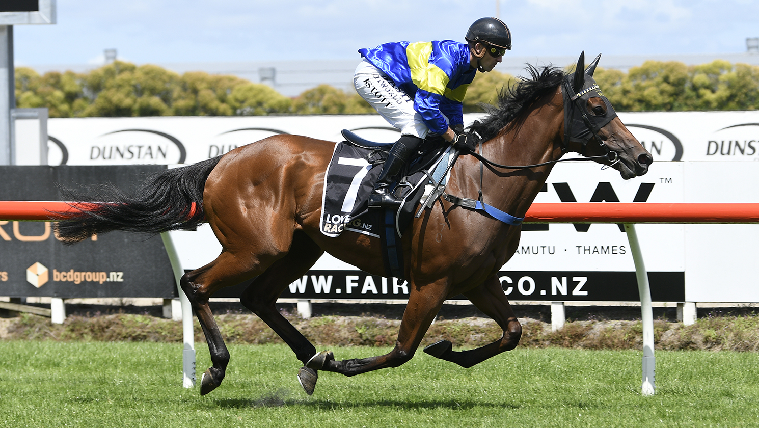 Grail Seeker chasing Group One hattrick