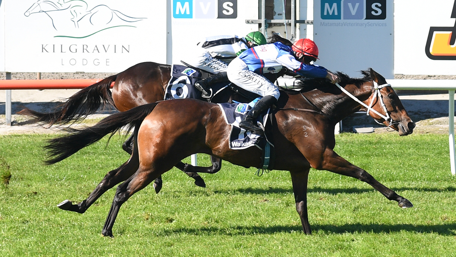 Go Racing strike gold once more with proven family