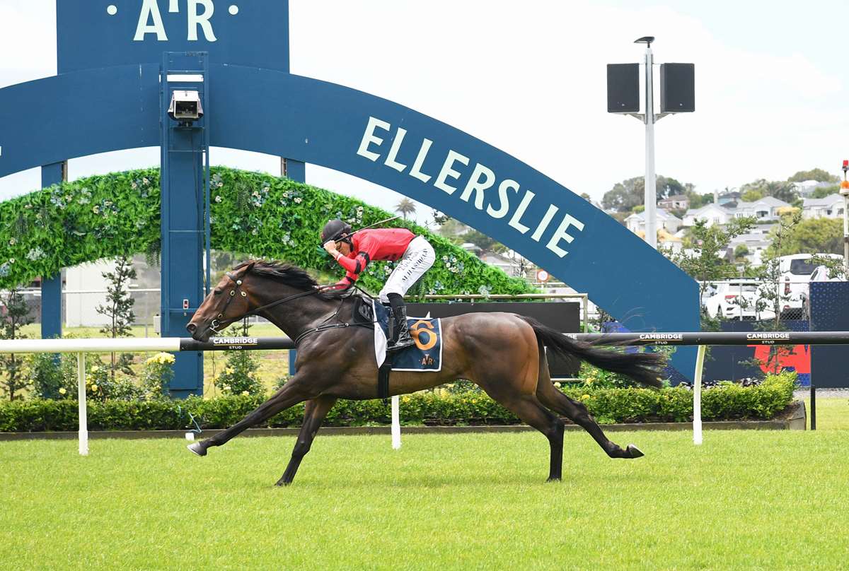 Michael Guerin: Does Fortune Favour the Bold?