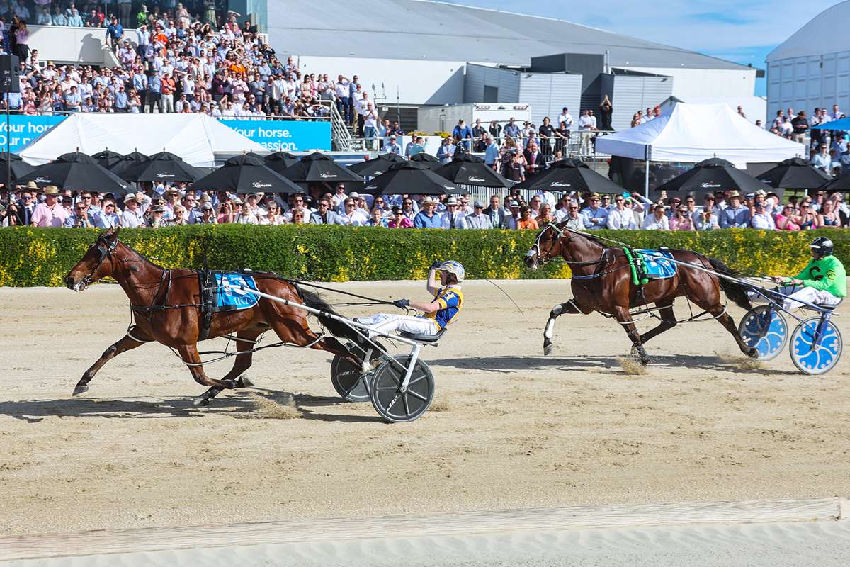 Addington takes the lead in dash for NZ Cup Week riches