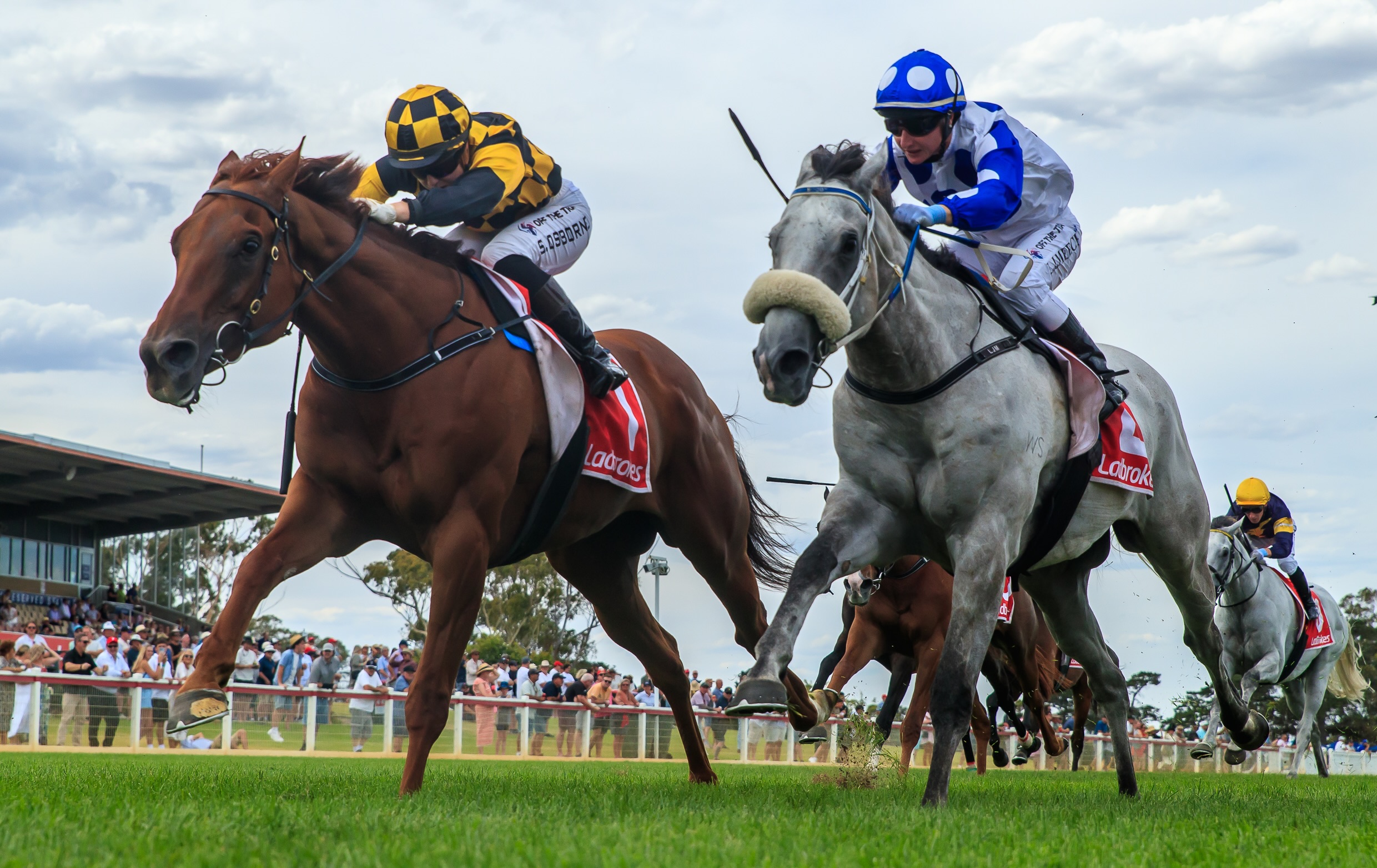 Holymanz defends Coastal Classic crown