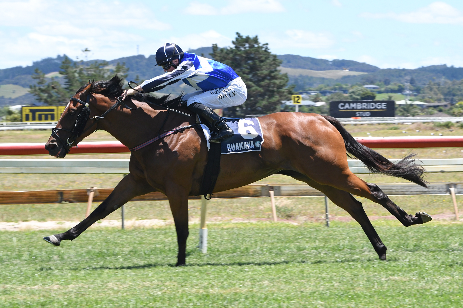 Electron a welcome pick me up for Mynott