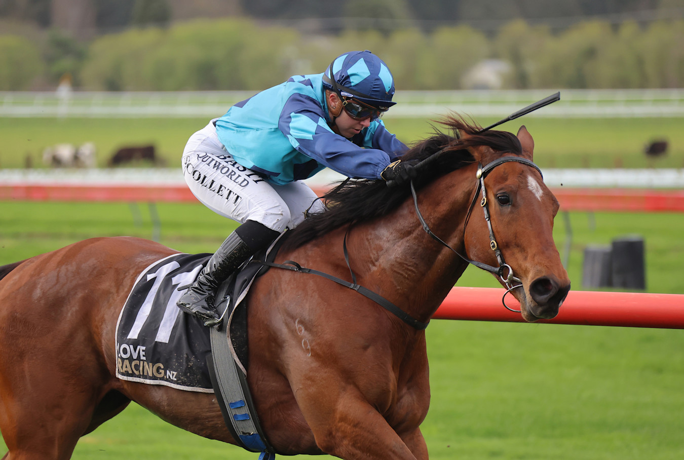 Patience paying off as The Scunner storms to first-up win