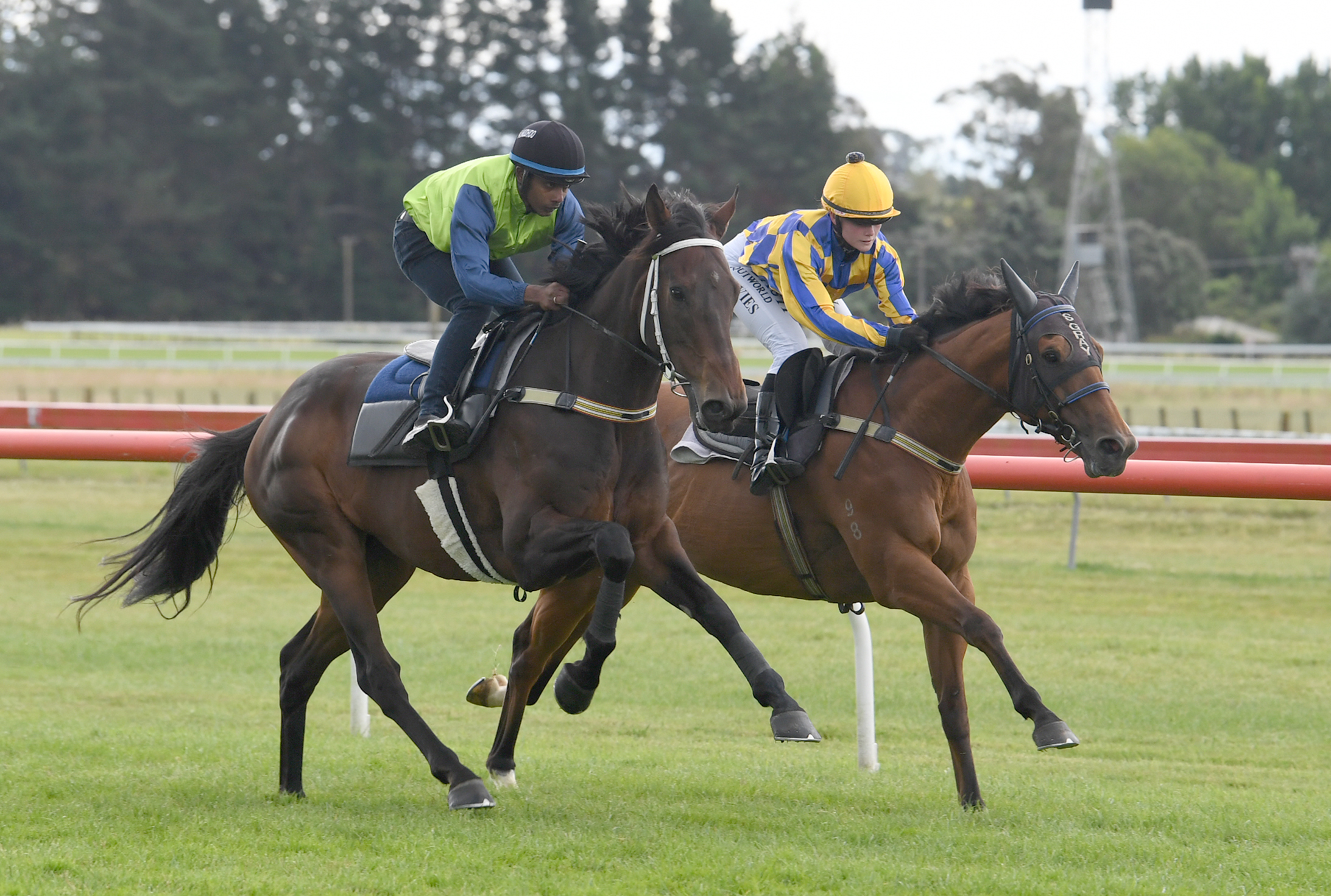 Former Singapore sprinter set for NZ debut