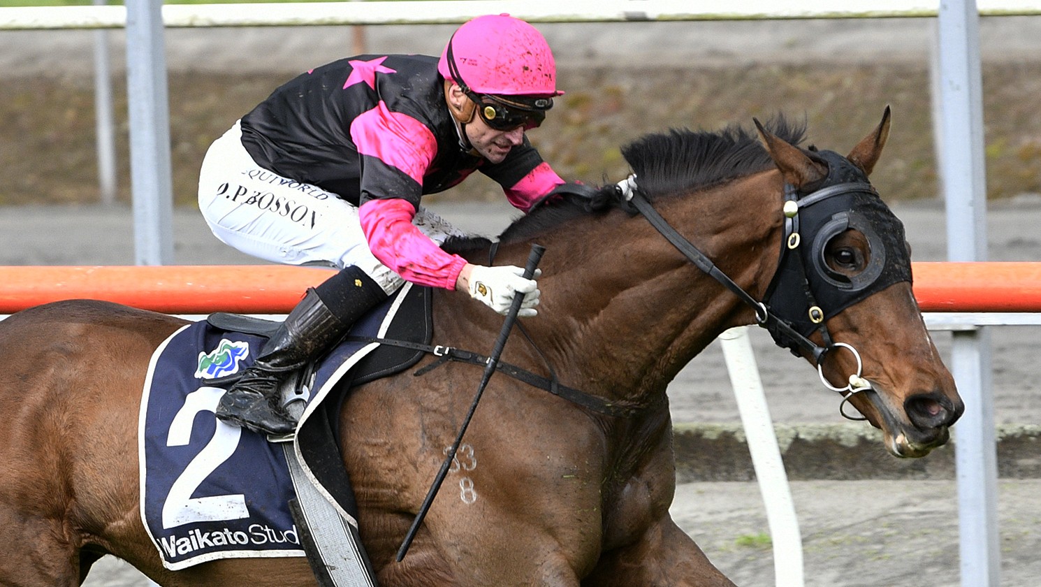 Diamond Jak takes the riches on home turf