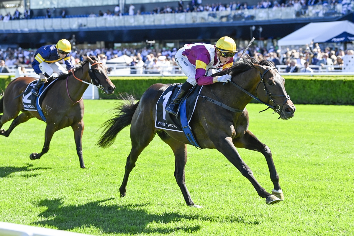 NZB Kiwi runner-up strikes at The Championships