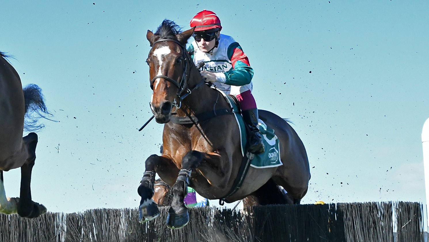 Nelson and McDougal’s jumpers shine at Te Rapa