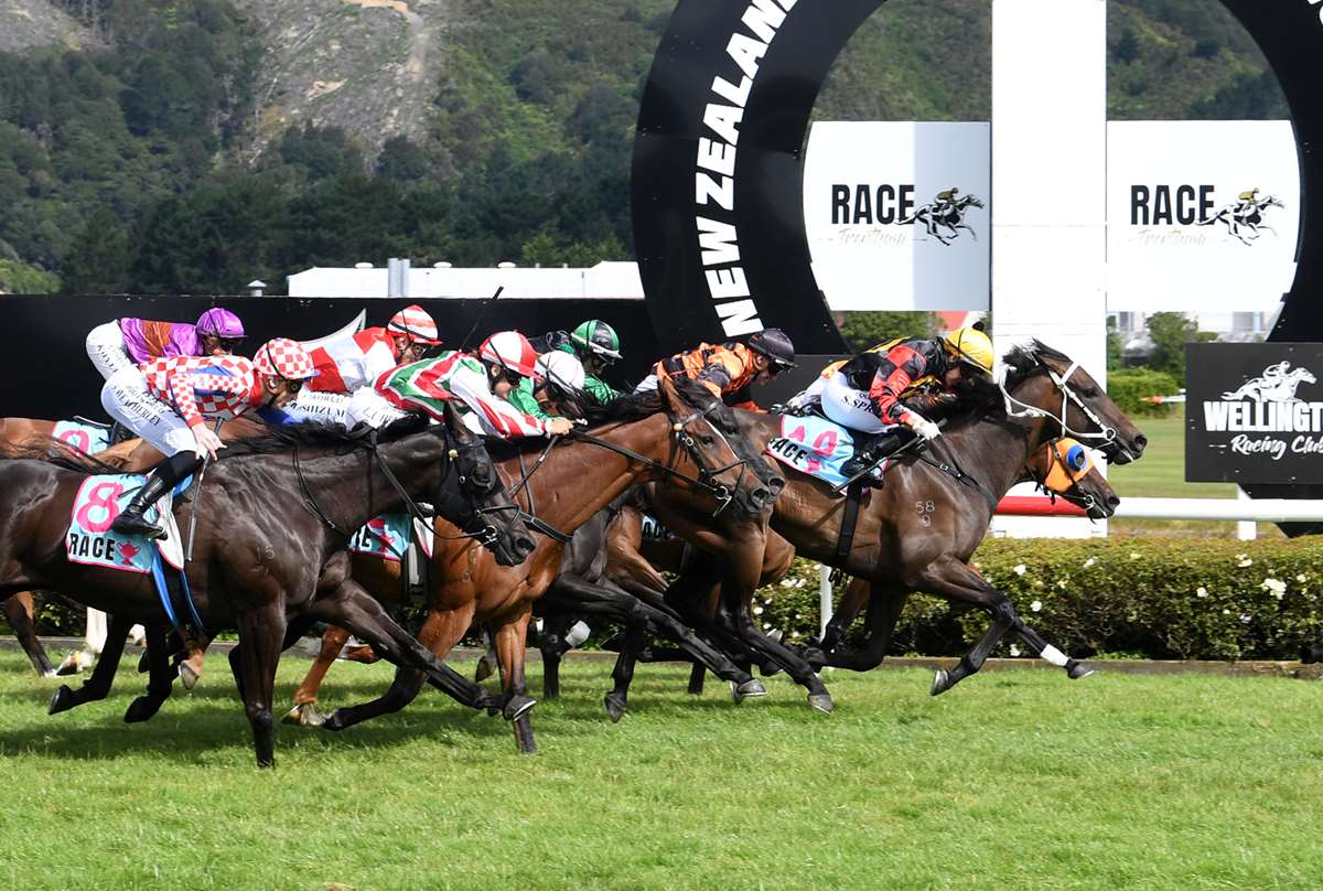 Stephen Hunt runs the numbers on Trentham this year