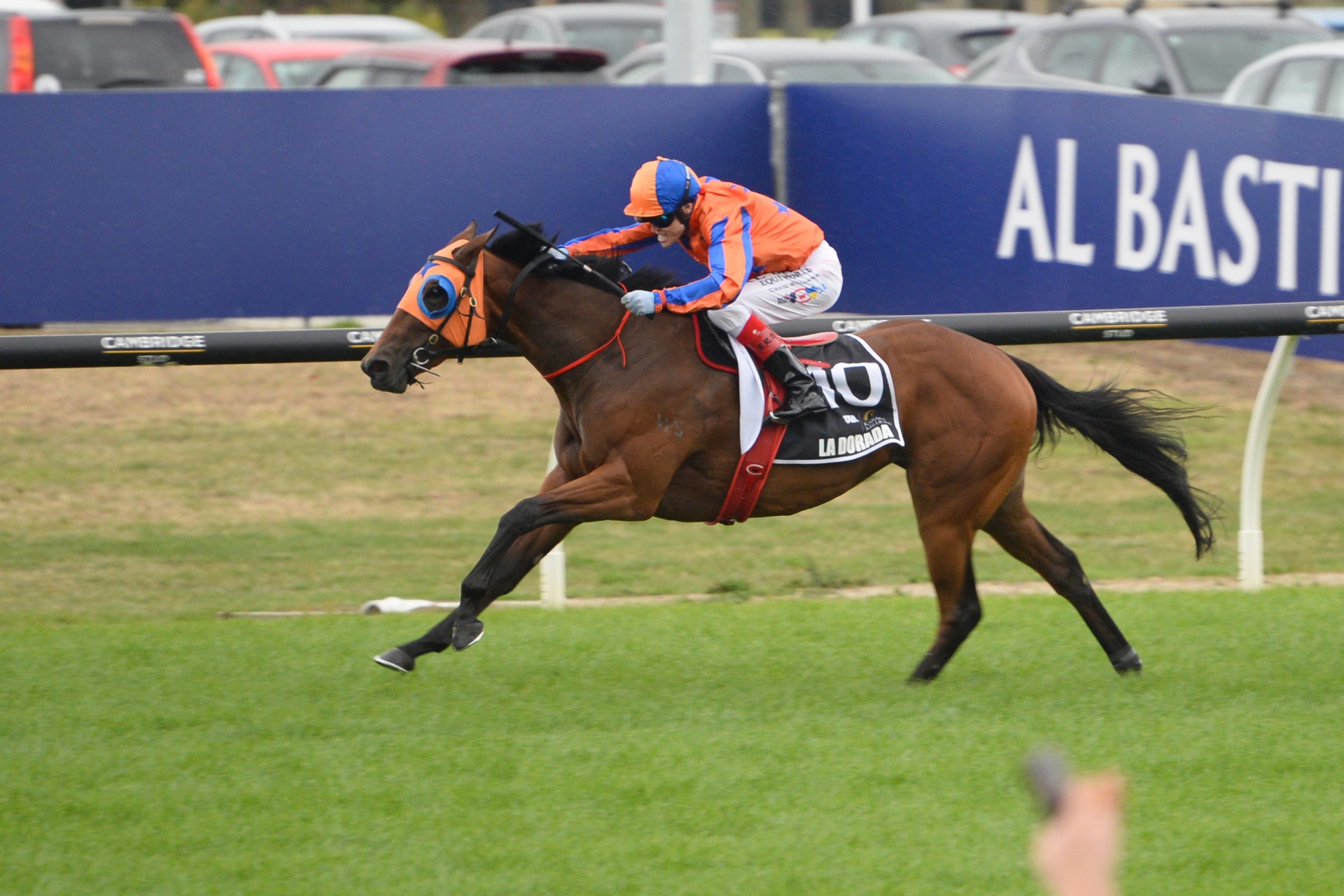 History beckons La Dorada in Matamata Breeders’ Stakes