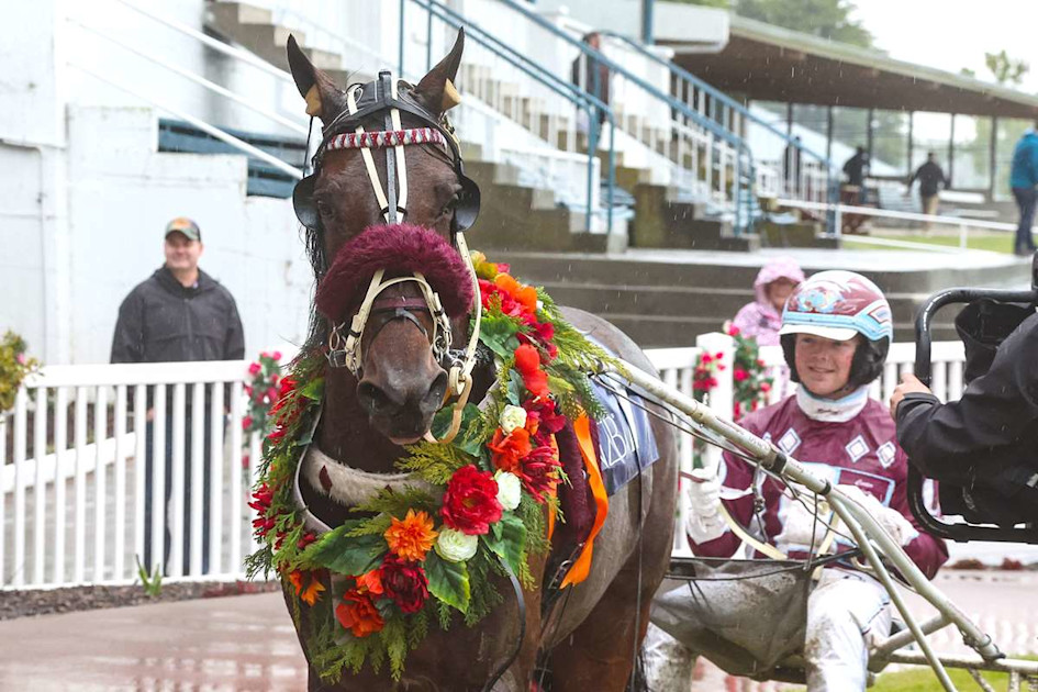 Who's hot and who's not on IRT New Zealand Trotting Cup day?